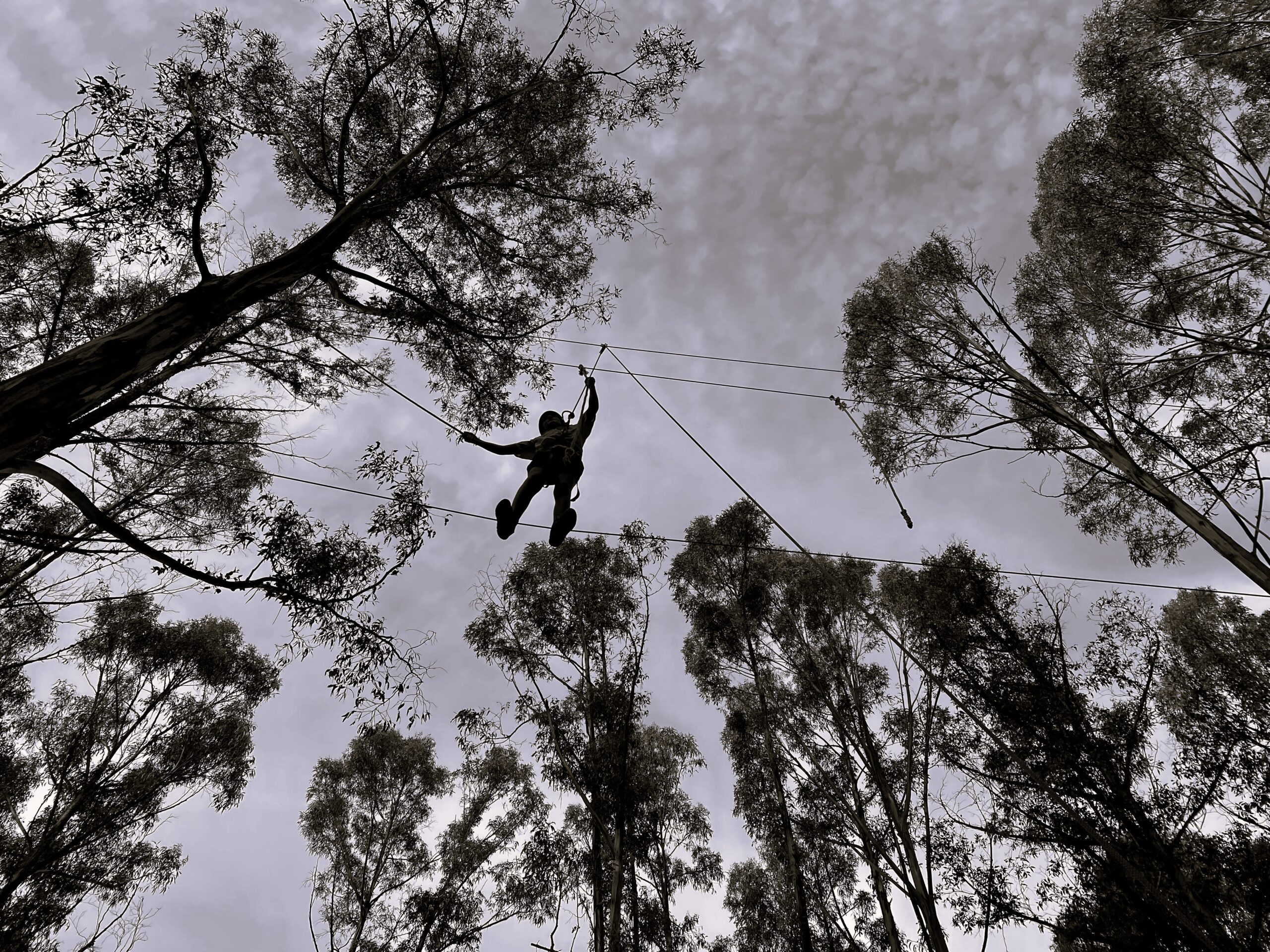 Fusion's Adventure Based Learning